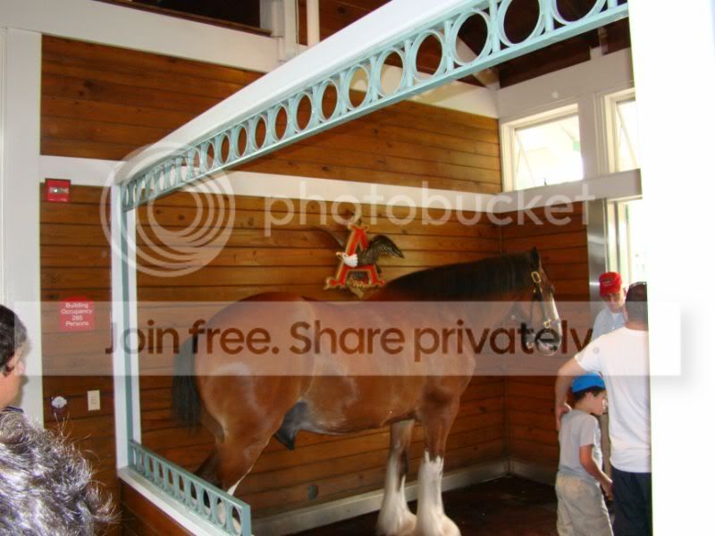 Zoos del Mundo - Sea World (Orlando) ...y los caballos gigantes ...