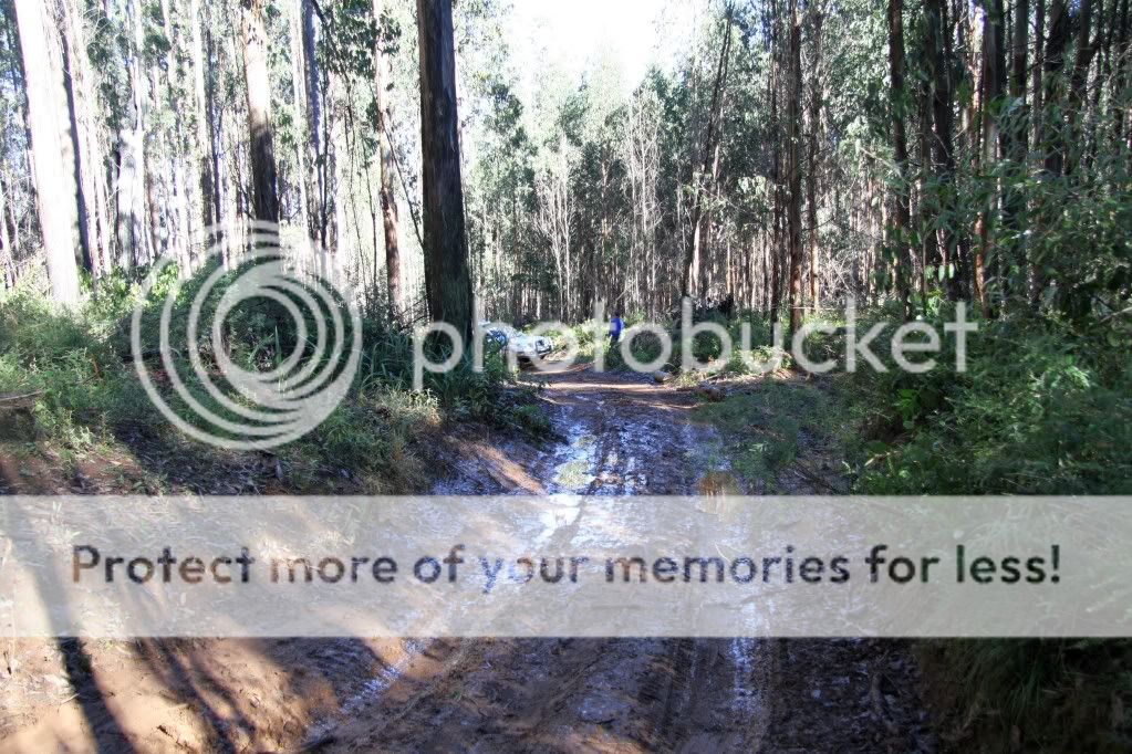 AUSTRALIAN X-TRAIL FORUM :: Trip Reports :: Toolangi/Black Range ...