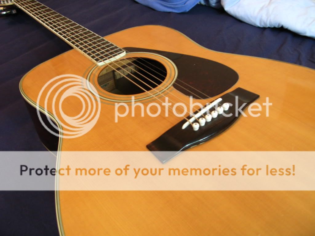 NGD - Yamaha FG-340 !! - Acoustic Guitars - Harmony Central